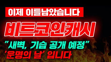 이제 이틀남았습니다 비트코인캐시 새벽 기습 공개 예정 운명의 날 입니다비트코인캐시 Youtube