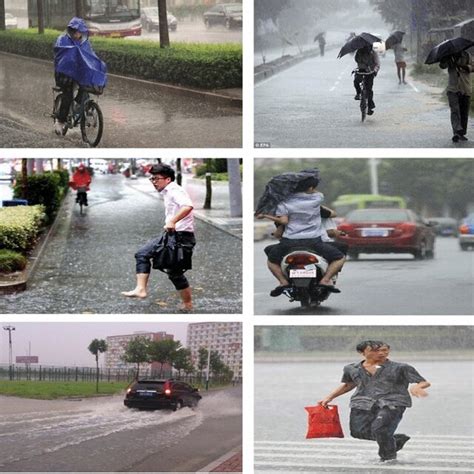 Representative Images In Analyzed Rain Dataset Download Scientific