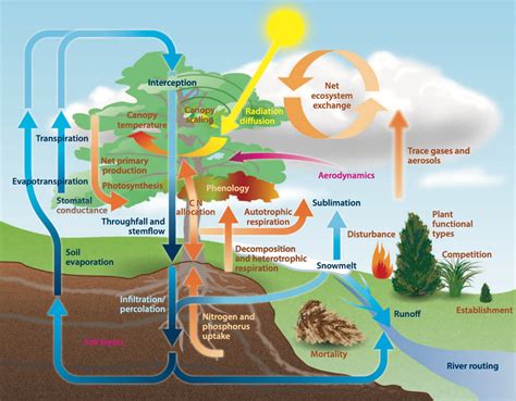 Ere特刊征稿terrestrial Biosphere Models State Of The Science Iop China