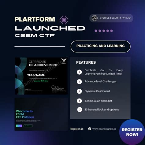 Cybersecurity Ctfchallenge Learncybersecurity Sturtlesecurity