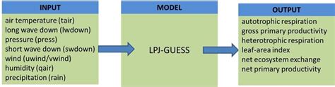4 Representation Of Model Workflow With Used Input And Output Download Scientific Diagram