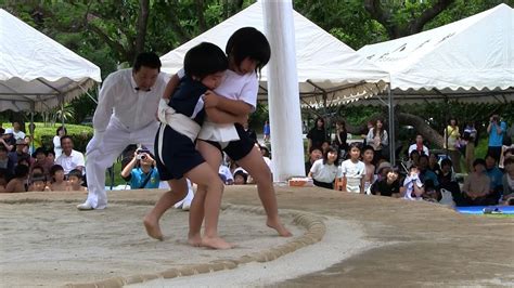 種子島のイベント：第28回西之表市わんぱく相撲大会個人戦ダイジェスト Youtube