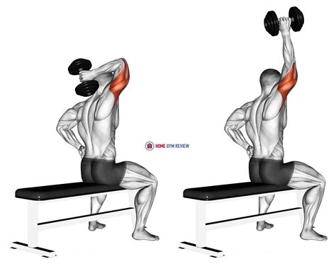 Dumbbell One Arm Triceps Extension On Bench Home Gym Review