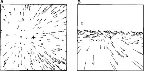Figure 1 From Emulating The Visual Receptive Field Properties Of Mst