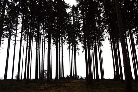 Using Observables In Real Life Rjavascript