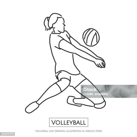 다양 한 포즈 라인 드로잉 벡터 일러스트 그래픽 디자인에서에서 배구 라인 드로잉 그림 배구에 대한 스톡 벡터 아트 및 기타 이미지 배구 공 스포츠 장비 막기 Istock