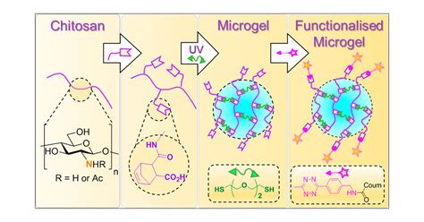 Frontiers Recent Advances Of Chitosan Based Injectable 56 Off