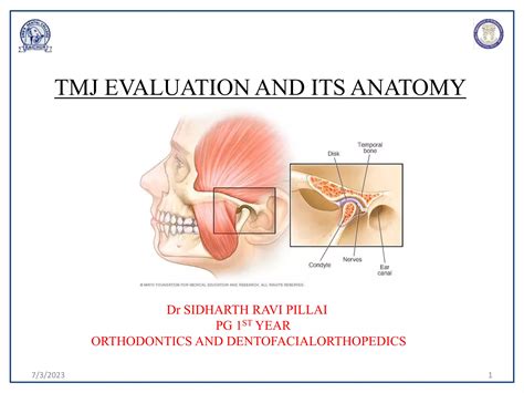 TMJ EVALUATION AND ITS ANATOMY Pptx