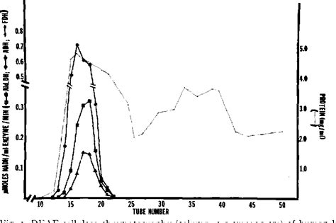 Pdf A Comparison Of Rat And Human Liver Formaldehyde Dehydrogenase Semantic Scholar