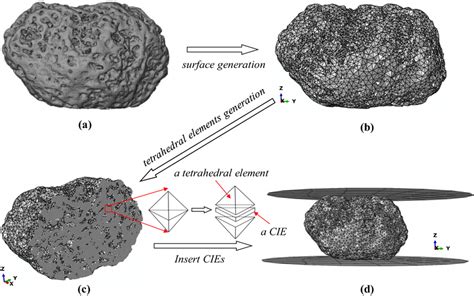 Fdem Modelling Of Single Particle Crushing Experiments A Ct Image Of A Download Scientific