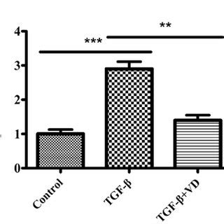 1α 25 Dihydroxyvitamin D 3 1 25 OH 2 D 3 downregulates transforming