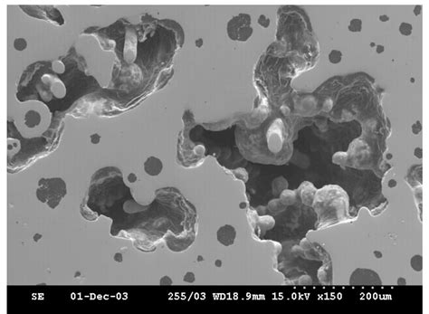 Typical Sub Surface Shrinkage Defect With Dendrite Arms Typical Sub Surface Shrinkage Defect With Dendrite Arms