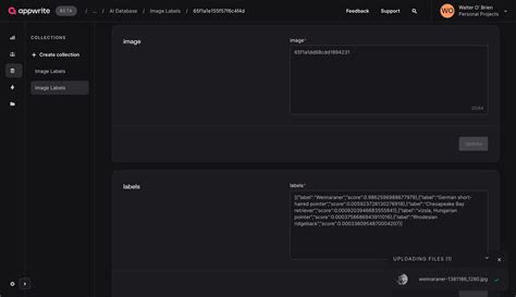 image classification with hugging face docs appwrite