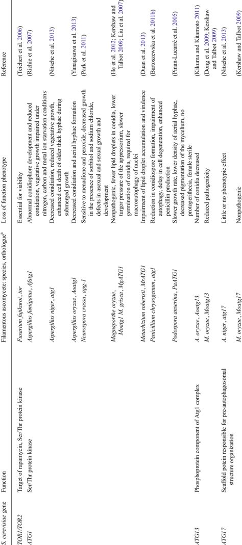 Mutant Phenotypes Of Autophagy Related Genes In Filamentous Ascomycetes Download Table