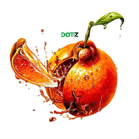 디자인 닷츠미술학원 강남미술학원 선릉미술학원강남강동강릉 디자인 닷츠 Coloring 🟢 강나루t 한라봉 개체시범 🟢 강남 디자인입시 미술학원 🟢