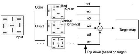 influence of top down task dependent priors on bottom download