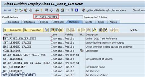 Salv教程7 列属性设定 修改列标签名label，自动优化显示宽度 摆渡sap