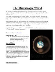 The Microscopic World Docx The Microscopic World In This Lab You Will Be Investigating