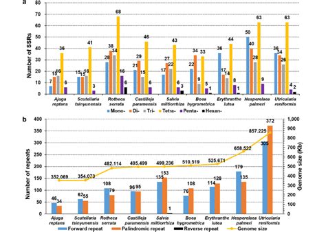 Simple Sequence Repeats Ssrs And Dispersed Repeats Identified In The Download Scientific