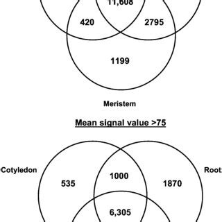 Venn Diagrams Showing Overlapping Expression Of Genes Between The Download Scientific Diagram