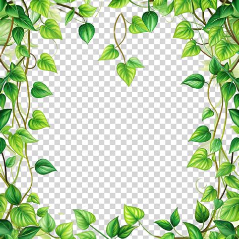 Premium Psd Jungle Vines Flowing Horizontal Border Isolated On