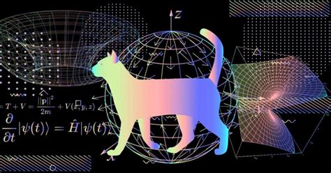 What Is Quantum Superposition Quantum Superposition Is A Term By