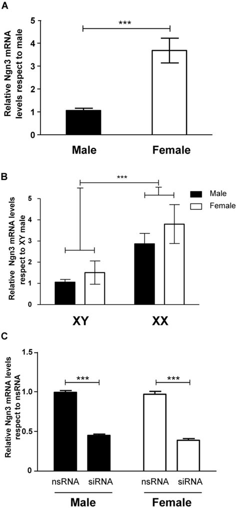 Sex Differences In The Expression Of Ngn In Primary Hypothalamic Download Scientific Diagram