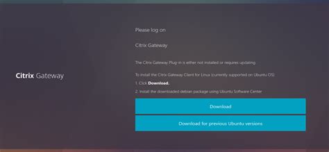 Install Citrix Secure Access Client And Citrix Epa Client