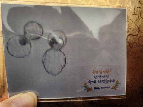 임신일기 7~8주차 기록 임밍아웃2난임 병원 졸업 네이버 블로그