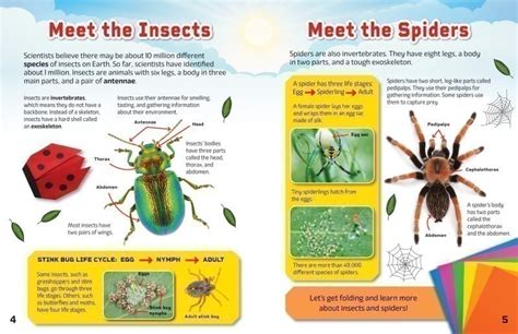 book farm llc arts let s classify and fold origami insects and
