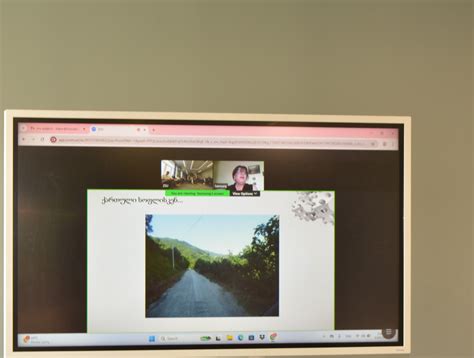 თურქეთის დუზჯეს უნივერსიტეტის ასოცირებული პროფესორის მაკა სალია ბეშიროღლუს ონლაინ საჯარო ლექცია