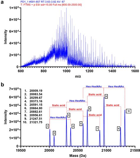 Intact Mass Analysis Of N Linked Removed Recombinant Pd 1 A An