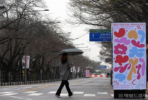“어제는 반팔 내일은 목도리” 들쑥날쑥 날씨…벚꽃 언제 필지 아무도 몰라 [지구 뭐래]
