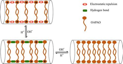 Ph And Temperature Responsive Wormlike Micelles Formed By Single Amine Oxide Surfactant Journal