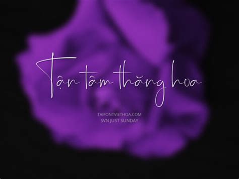 Download Font Svn Trọn Bộ Việt Hóa Tải Font Việt Hóa