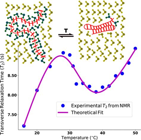 Monitoring Coilglobule Transitions Of Thermoresponsive Polymers By Using Nmr Solvent Relaxation