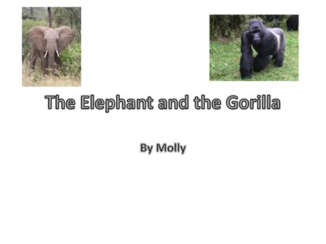 Ppt The Tale Of The Elephant And The Gorilla A Lesson In Teamwork