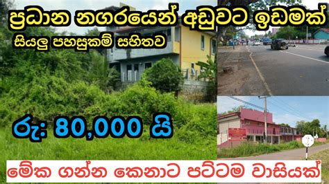 Ikman අනුරාධපුර දිස්ත්‍රික්කයෙන් පට්ට අඩුවට ඉඩමක් අනුරාධපුර දිස්ත්‍රික්කයෙ තිරප්පනේ නගරයේ ඉඩම