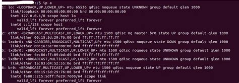 Network Unreachable After Adding New Bridged Interface LXD Linux Containers Forum