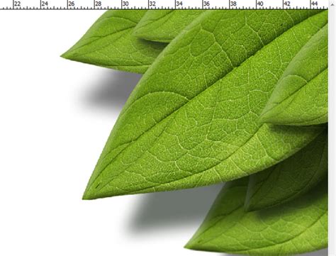 How To Create A D Leaf From A Texture Photograph Envato Tuts