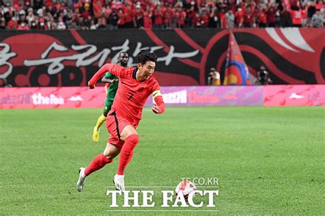 토트넘 선후배 손흥민·클린스만 콜롬비아전 태극 궁합은 축구 기사 더팩트