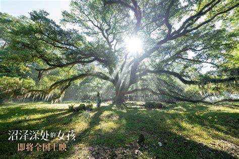 《沼泽深处的女孩》发布幕后特辑 唯美风光动人角色还原原著 360娱乐，你开心就好