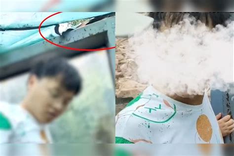 家长带娃在动物园弄破围网投喂猴子游客劝阻反被怼丑人多作怪