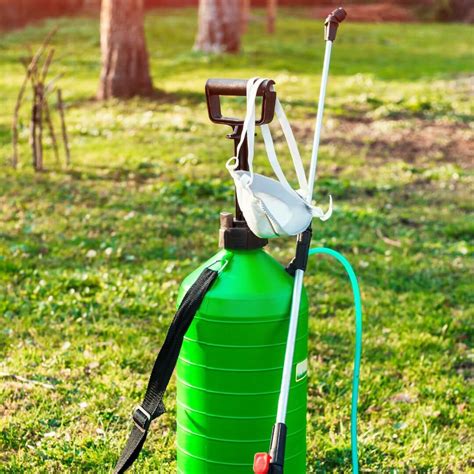 How To Remove A Tree Stump Methods Chip It Guy