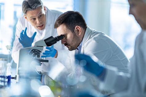 실험실에서 현미경을 통해 자신의 연구를 검사 하는 남성 화학자 Dna에 대한 스톡 사진 및 기타 이미지 Dna Stem 주제 건강관리와 의술 Istock