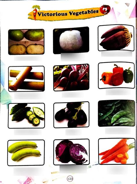 Vocabulary Vegitables 2 Diagram Quizlet