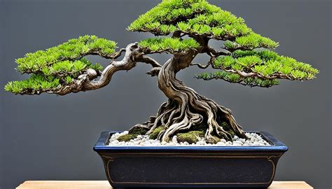 How Long Do Bonsai Trees Live A Friendly Guide