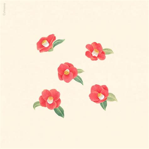 빛과 흔적 엘무늬 On Instagram 카멜리아 겨울에 피는 꽃이라 더 반가운 동백 엘무늬 일러스트 일러스트레이터 감성드로잉 아이패드드로잉