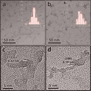 PDF Ligand Free Rutile And Anatase TiO 2 Nanocrystals As Electron Extraction Layers For High
