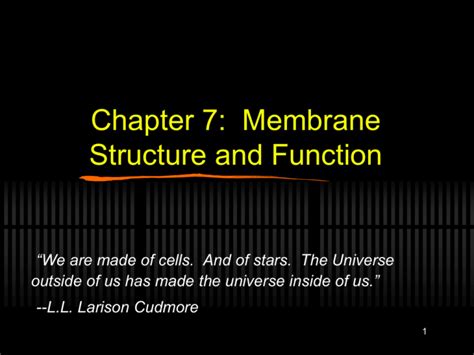 Chapter Membrane Structure And Function